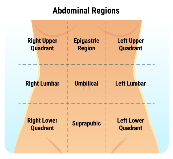 GI and Abdomen Assessment